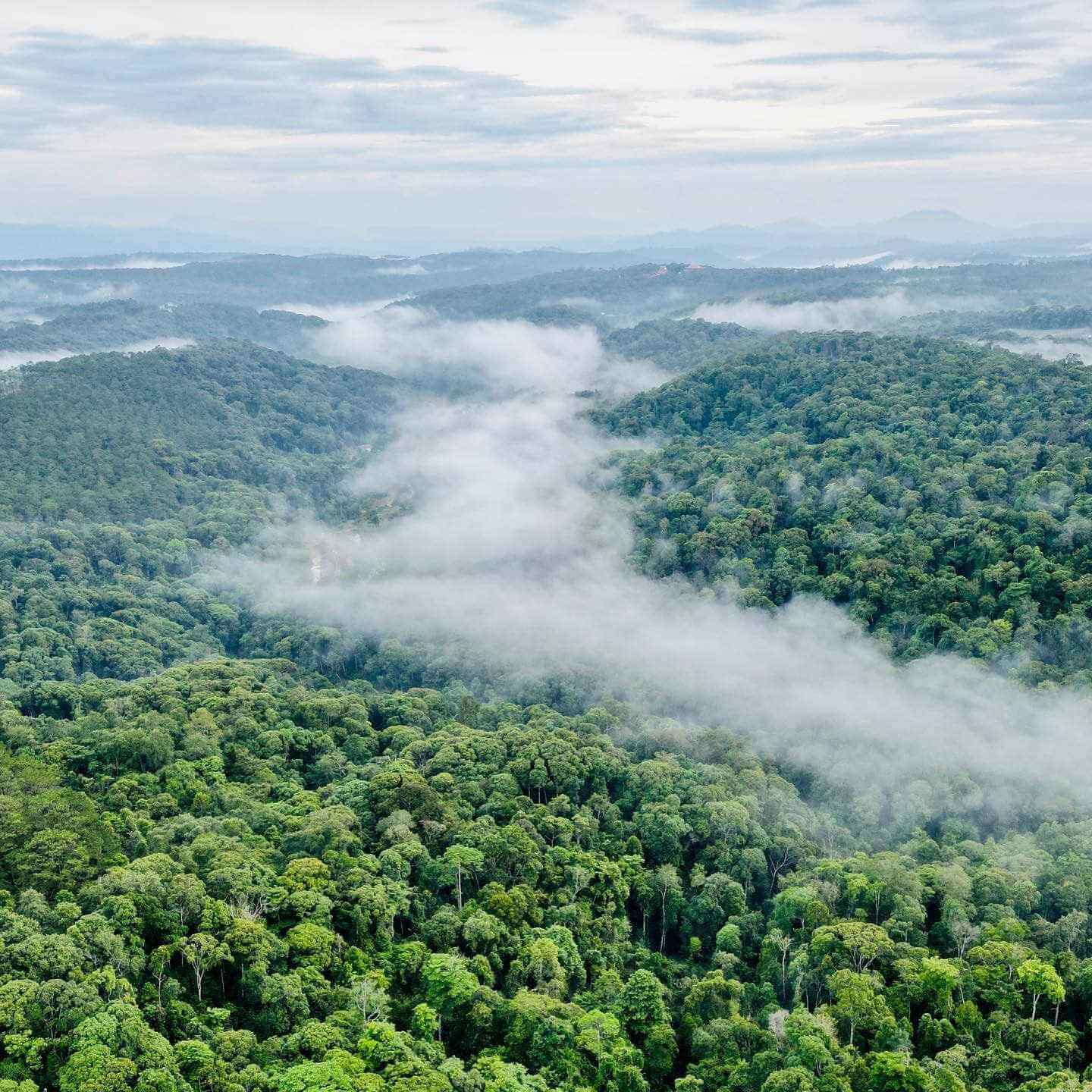 A month of seclusion in Mang Den, Vietnam » Vietnam News - Latest ...