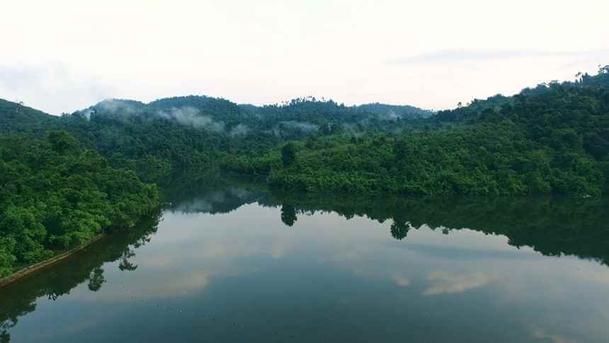 Discover Madagui: the only forest city in Vietnam » Vietnam News ...