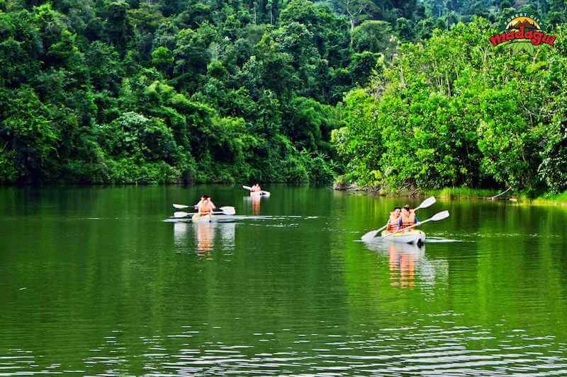 Discover Madagui: the only forest city in Vietnam » Vietnam News ...
