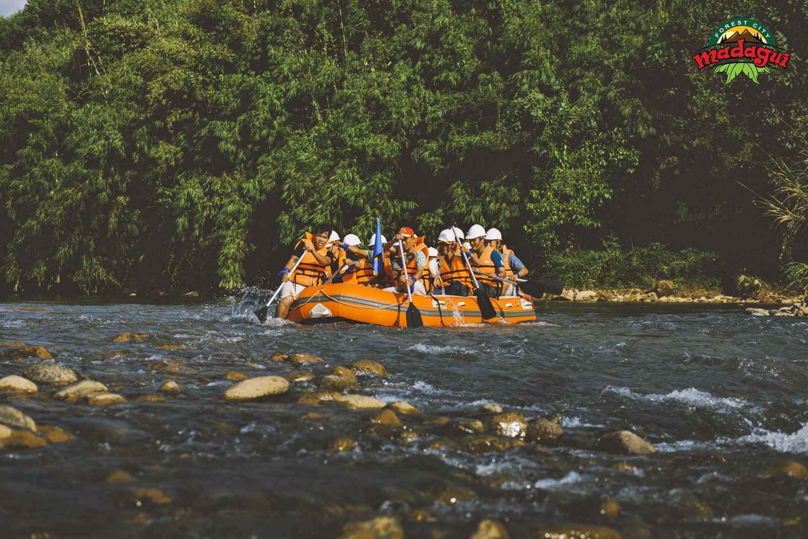 Discover Madagui: the only forest city in Vietnam » Vietnam News ...