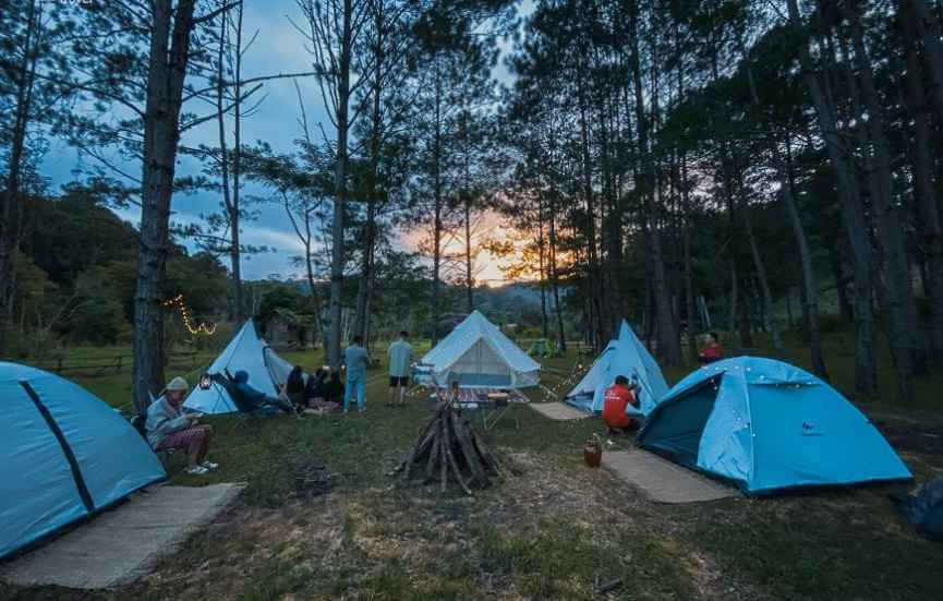 Discover Madagui: the only forest city in Vietnam » Vietnam News ...