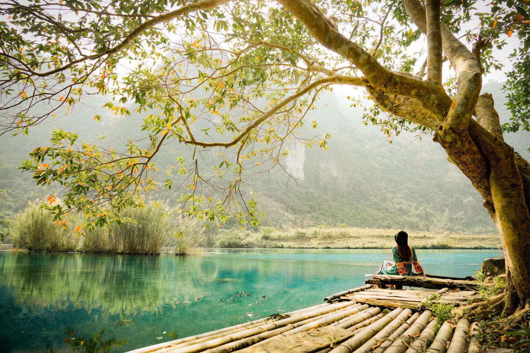 Huu Lien Special-use Forest, Lang Son - The hidden beauties » Vietnam ...