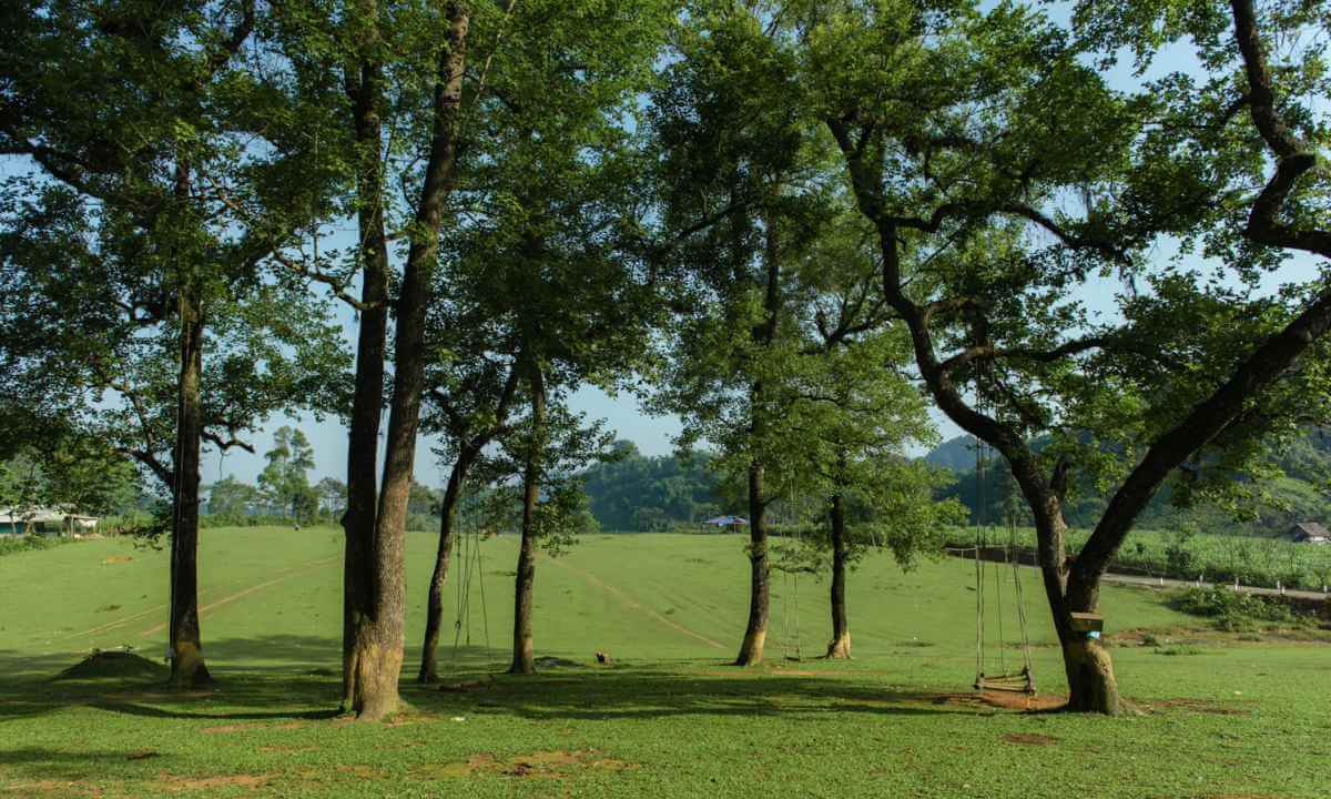 Bai Bui green steppe, Hoa Binh Province, Vietnam » Vietnam News ...