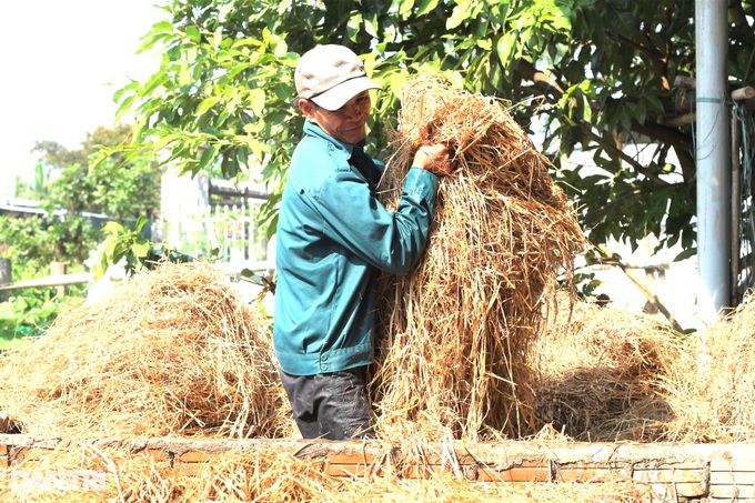 Farmers change their lives thanks to… straw » Vietnam News - Latest ...