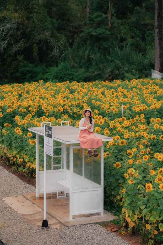 The camping site that was once hosted by singer Amee suddenly became ...