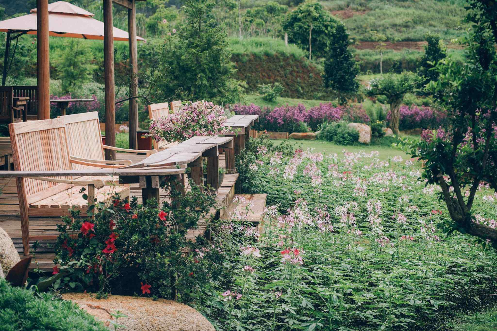 European-style natural scenery at The Florest, Da Lat (Vietnam ...