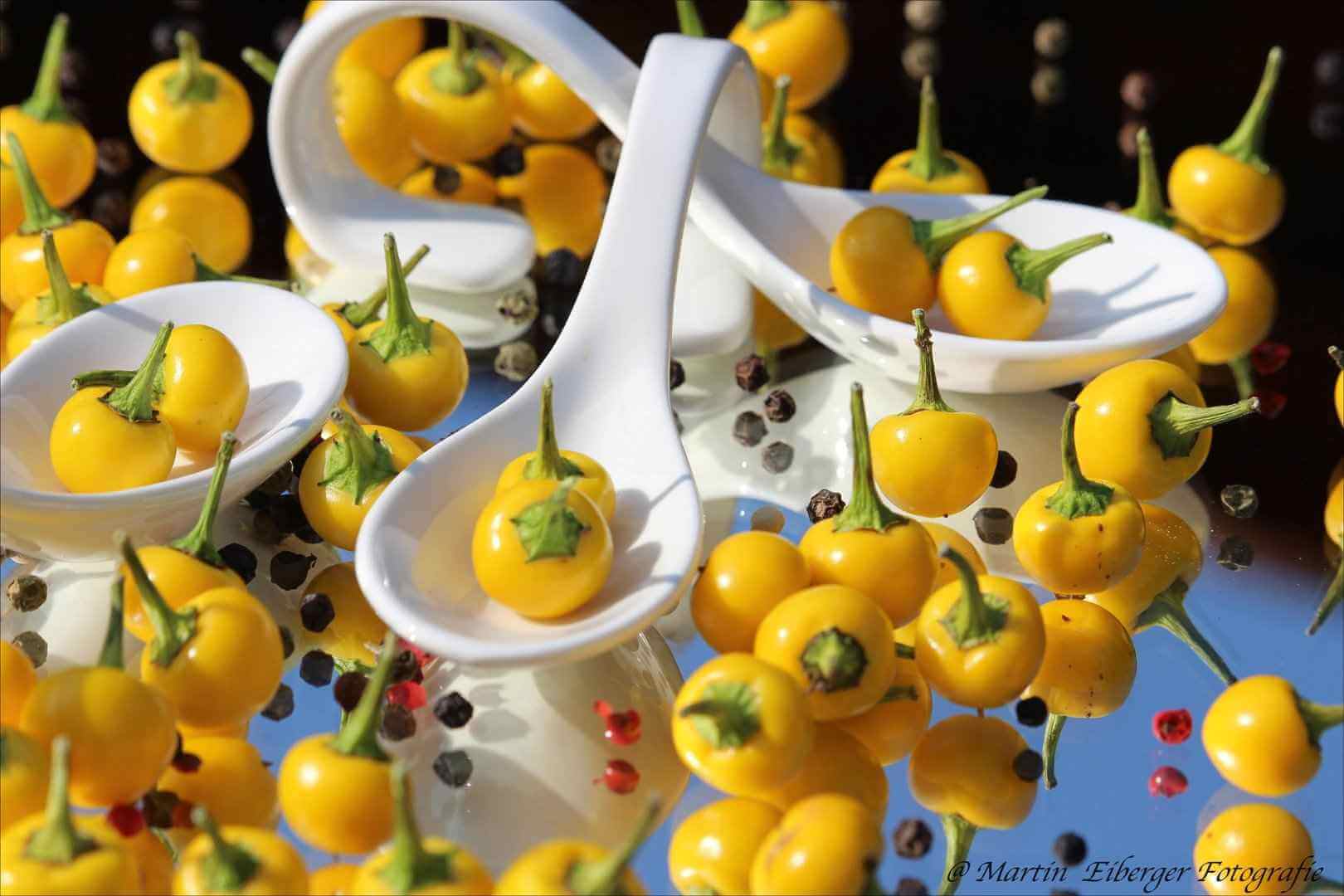 Vietnam is still searching for strange and expensive chili peppers ...