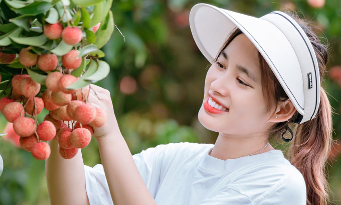 Going to Luc Ngan to pick lychee » Vietnam News - Latest Updates and ...