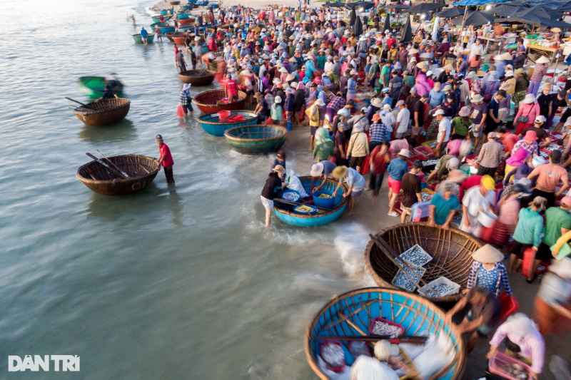Image of the largest beach fish market in Central Vietnam » Vietnam ...